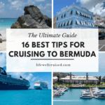 15 Cruise Bloggers Reveal Their Best Cruise Tips - Life Well Cruised