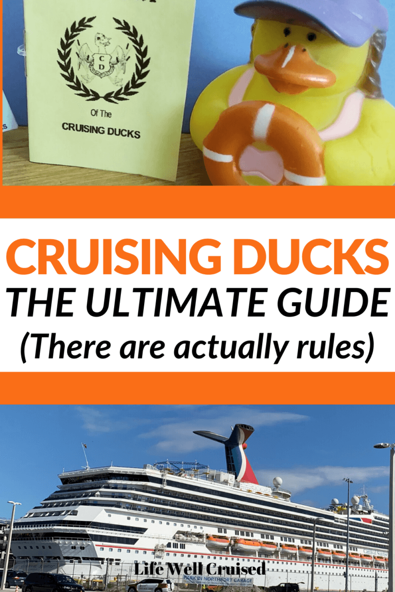 A Guide To Cruising Ducks The Trend That Will Quack You Up Life Well 