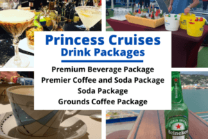 Princess Cruises Drink Packages (with bar menus and drink photos ...