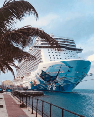 Norwegian Cruise Line Beverage Packages: What's Included and is it ...