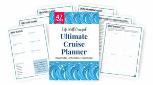 35+ Prohibited Items You Can't Bring on a Cruise (that may surprise you ...