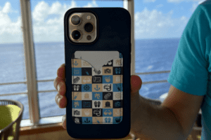 How to Keep Your Belongings Safe on a Cruise Vacation - Life Well Cruised