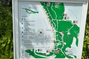 30+ Best Things to Do in Half Moon Cay Cruise Port 2024 - Life Well Cruised