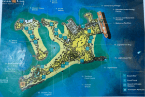 15 Best Things to Do in Ocean Cay MSC Marine Reserve (Port Guide ...