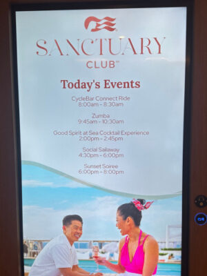 Princess Cruises New Sanctuary Collection: What's Included & Is it ...